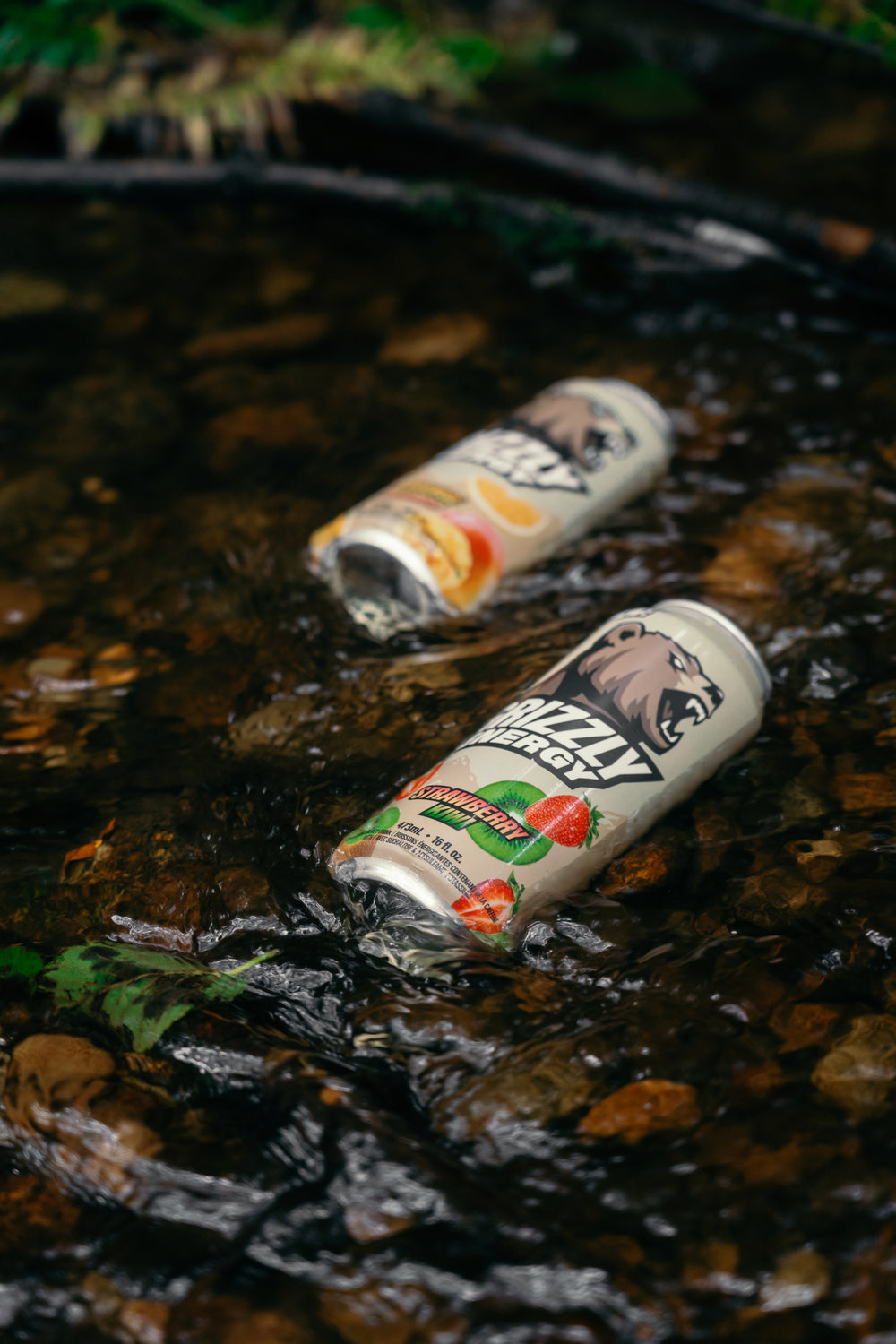 About Us - GRIZZLY Energy: High-Quality, Naturally Flavored Energy ...